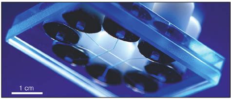 A Glass Microreactor With Eight Ceramic Reservoirs Download