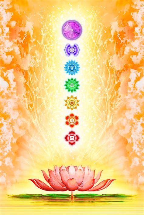 Sacred Lotus The Seven Chakras Art Print By Dirk Czarnota X Small