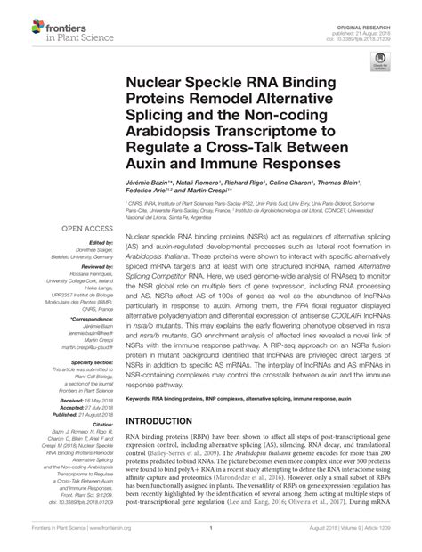 PDF Nuclear Speckle RNA Binding Proteins Remodel Alternative Splicing And The Non Coding