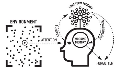 Long Term Memory Diagram