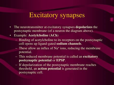 Synaptic Transmission Ppt Download