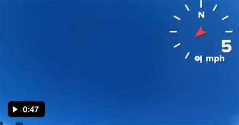 Chewy Hit The Hyperdrive 9gag