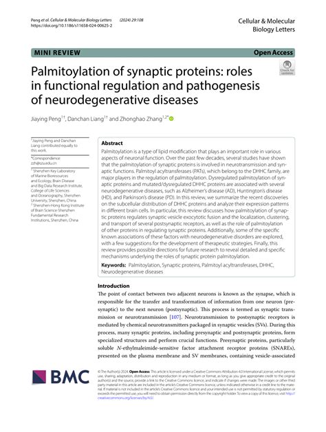 Pdf Palmitoylation Of Synaptic Proteins Roles In Functional
