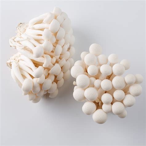 雪白菇 160g 菇益郎農產行 香菇批發菇類批發台中菇類批發西屯區菇類批發，水果、蔬菜批發、零售