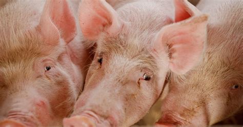 Emma Keech Posted On Linkedin