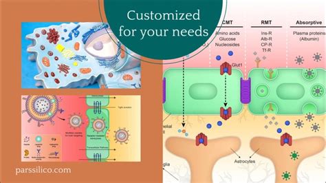 Pars Silico Bioinformatics Lab Pars Silico • Instagram Photos And Videos