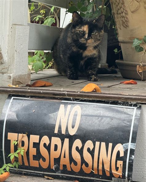 Bryson Byrd Brysonbyrd • Instagram Photos And Videos