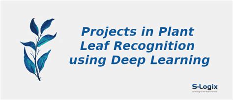 Python Projects In Plant Leaf Recognition Using Deep Learning S Logix