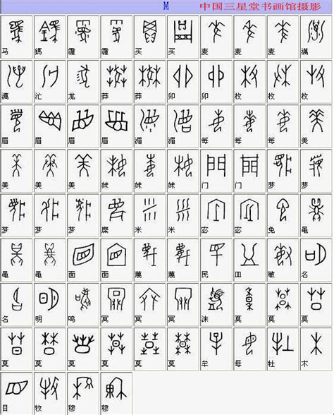 花象形字图片鸟象形字图片 伤感说说吧