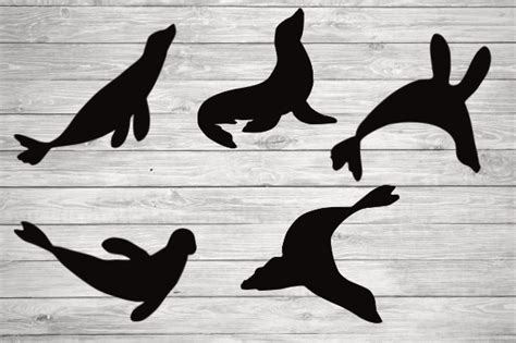 Seals Clipart Black And White