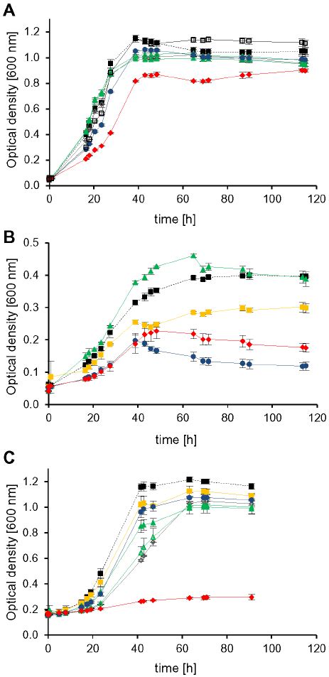 Phenotypical Characterization Of An Aif2b Double Deletion Mutant The