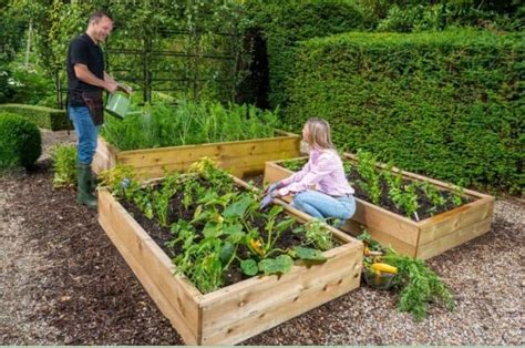 8 Formas De Hacer Un Bancal Elevado Para Tu Huerto Ecocosas