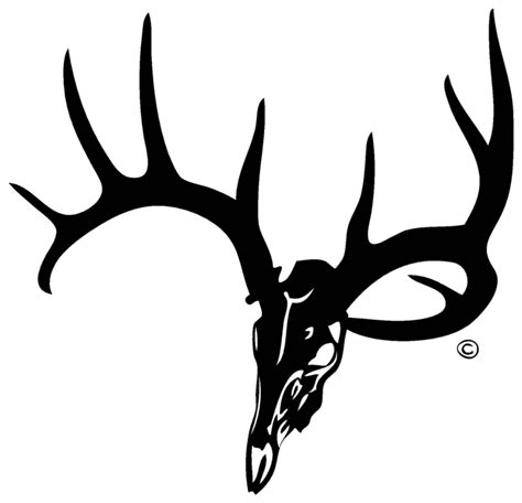 Whitetail Deer Skull Silhouette