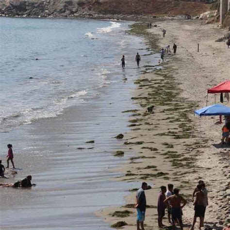 El Sauzal En La Ensenada Baja California
