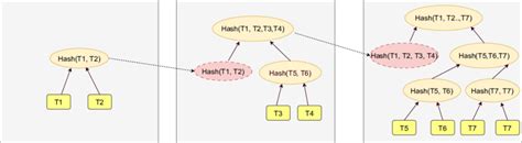 merkle root for distributed case tracking download scientific diagram