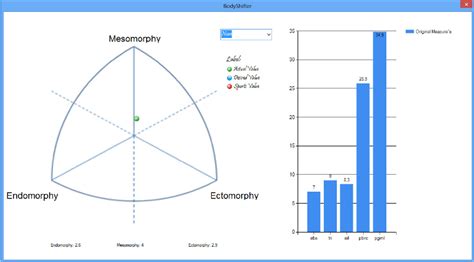 Bodyshifter Somatotype Graph With An Example Of A Determined