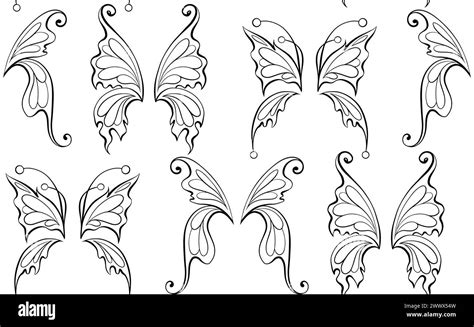 Vector Monochrome Pattern With Tracery Contour Butterfly Wings