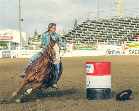 Top 5 Horse Breeds For Barrel Racing Pethelpful