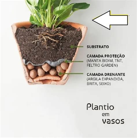 Argila Expandida Saco De 10 Litros