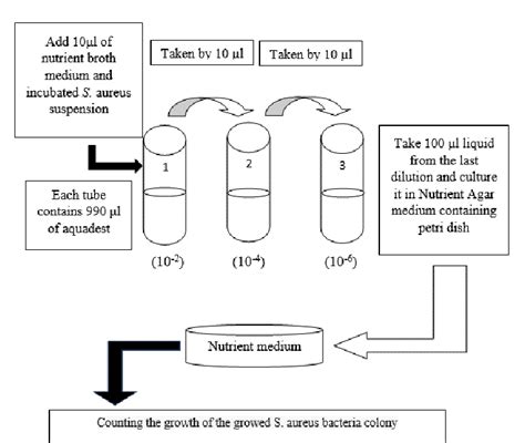 Total Plate Count Tpc Method Dilution Download Scientific Diagram