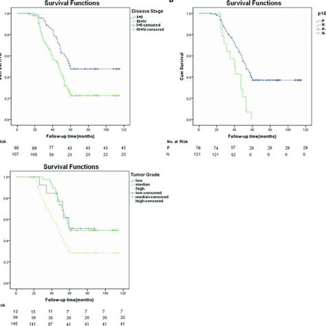Reduced Cdkn2a Promotes The Formation Of Hnit A Cdkn2a Expression In