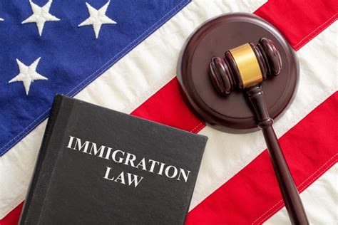 Darius Amiri Immigration Department Chair At Rose Law Group Provides