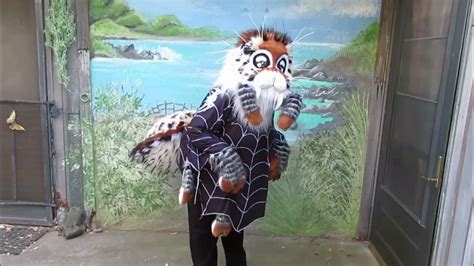 Sabertooth Spider Artistic Liberty Order Youtube