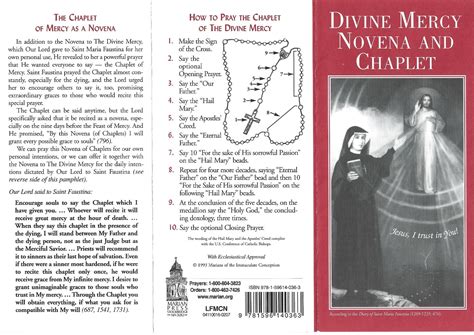 Chaplet Divine Mercy Novena Divine Mercy Jesus And How To Pray Rosary Pamphlets Ebay
