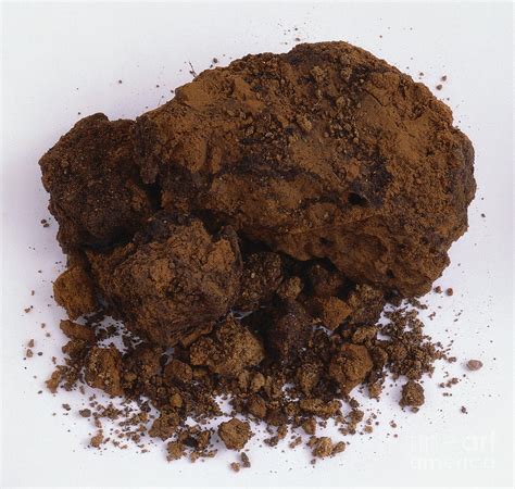 Sample Of Clay Soil Photograph By Dorling Kindersley Pixels
