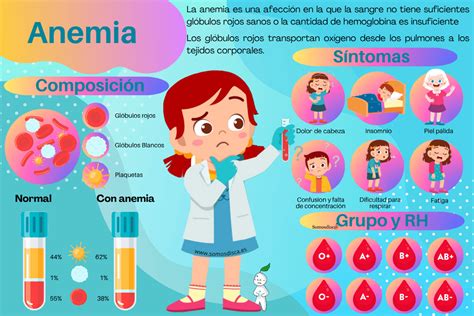 ¿qué Es La Anemia Megaloblástica Somosdisc