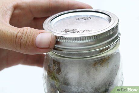 Ways To Make A Lantern WikiHow Life Ways To Make A Lantern WikiHow Life