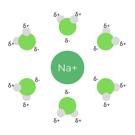 Ion Dipole Examples Of Molecules