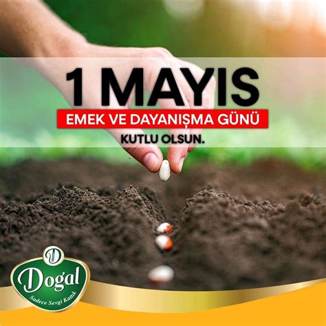 Aylin Sen Posted On Linkedin