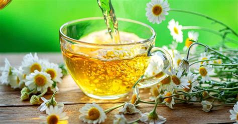 Tea For Eczema Can You Use Tea For Eczema Treatment Its Never Not