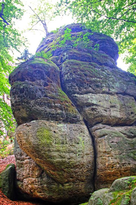 Elder Face By Fantom125 On Deviantart