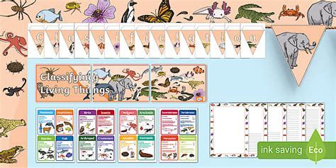 Classifying Living Things Display Pack Science Twinkl