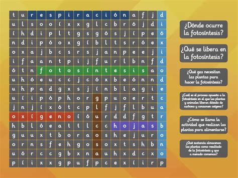 ¿cómo Se Alimentan Las Plantas Sopa De Letras