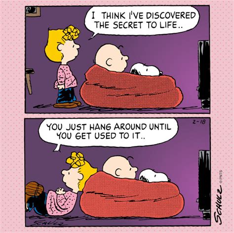 Blog Do Xandro Tiras N°8379 Snoopy Charles Schulz