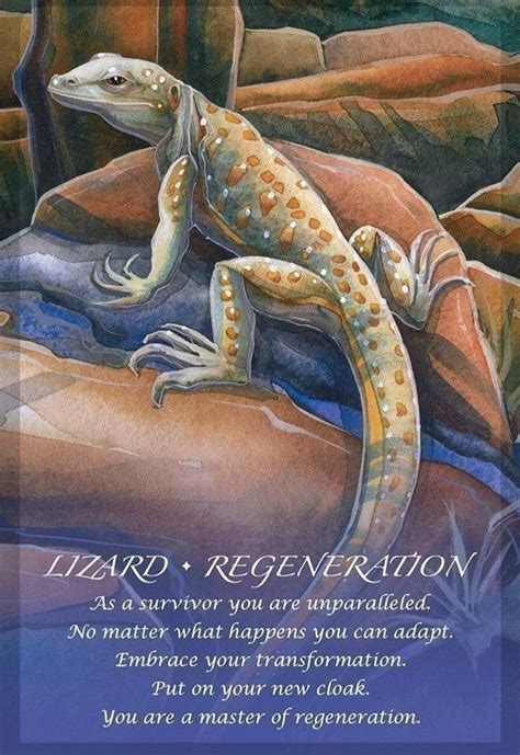 Best 13 Understanding The Mysterious Toad Beyond Symbolism And Totem