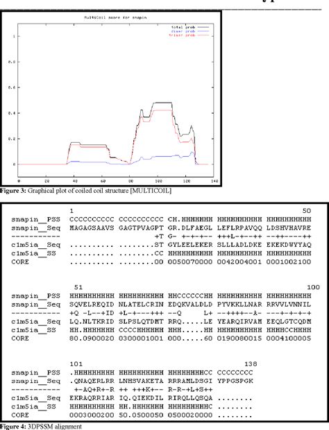 Figure 4 From Modeling Of The Potential Coiled Coil Structure Of Snapin