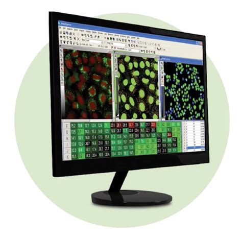 Imagexpress Confocal Confocal Imaging Spinning Disc Confocal Microscopy