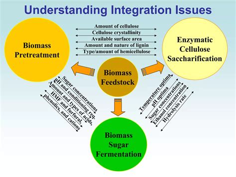 Biotechnological Routes To Biomass Conversion Pdf