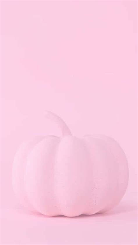 [100 ] Rosa Pumpa Wallpaper