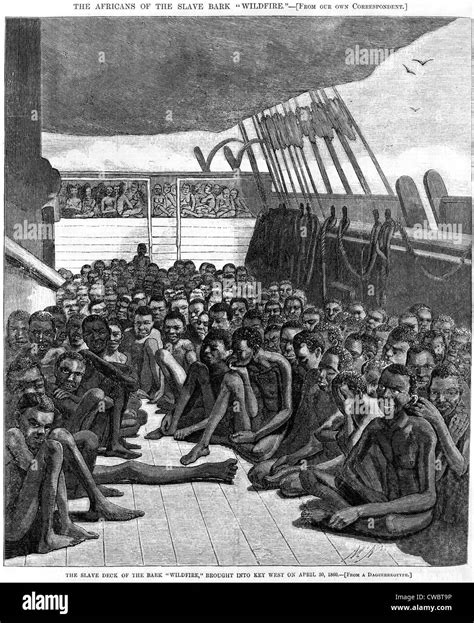 The Slave Deck Of The Ship Wildfire Captured Transporting Slaves 510