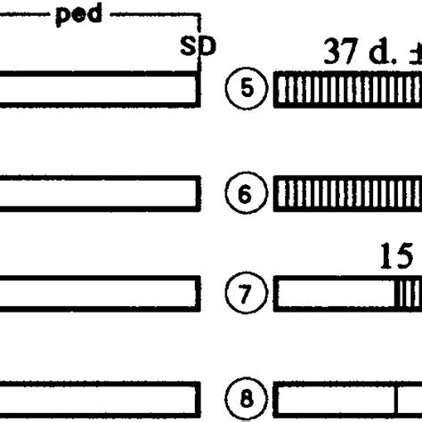 Experimental Series To Investigate The Processes Leading To Sex Ratio