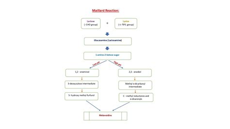 Maillard Browning Reaction In Dairy Products Pptx