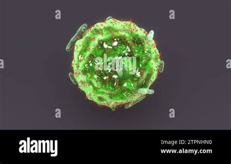 Adrenaline Epinephrine Molecule Stock Videos And Footage Hd And 4k