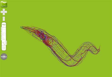 Worm Browser Openworm Documentation