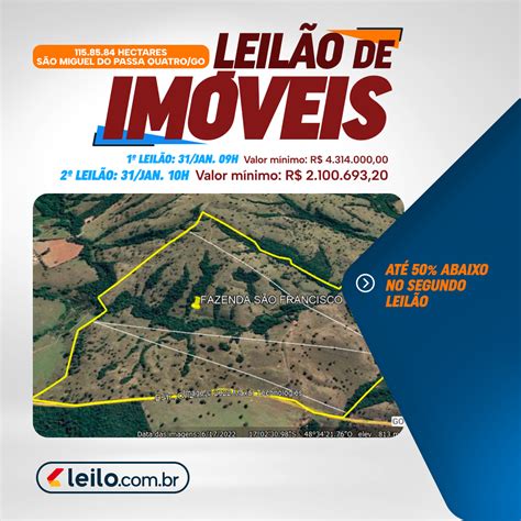 Leilo Leilo Oficial • Instagram Photos And Videos
