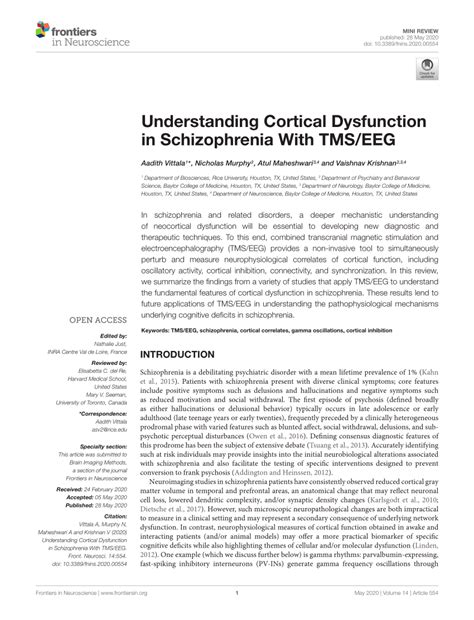 Pdf Understanding Cortical Dysfunction In Schizophrenia With Tmseeg